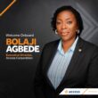 Bolaji Agbede Named Access Holdings' Interim CEO After Wigwe's Death ...