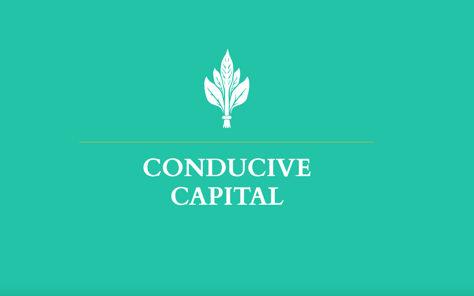 Conducive Capital Announces $50M Early-Stage VC Fund. - Techmoonshot