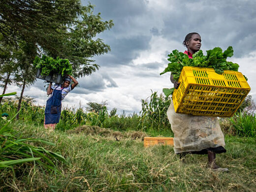 Bode Abifarin Departs as COO of Fintech Giant Flutterwave. - Techmoonshot