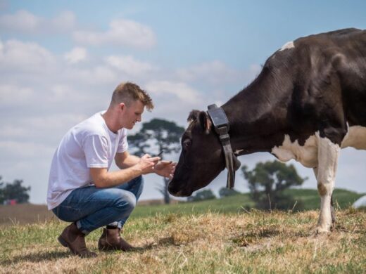 How Mobile Money Became Africa's Crypto On-Ramp - Techmoonshot